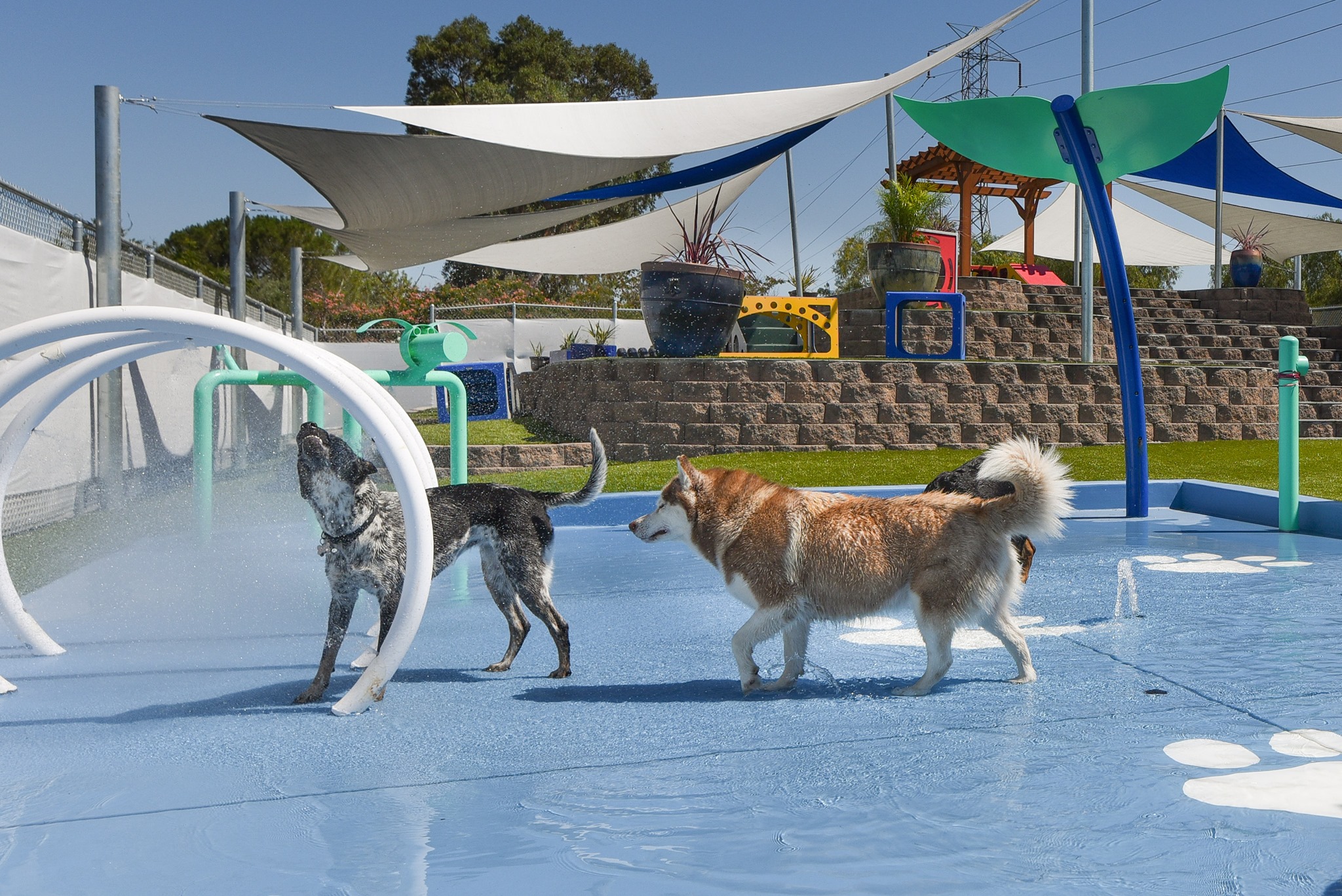 We're Hiring! - The Ranch Pet Resort