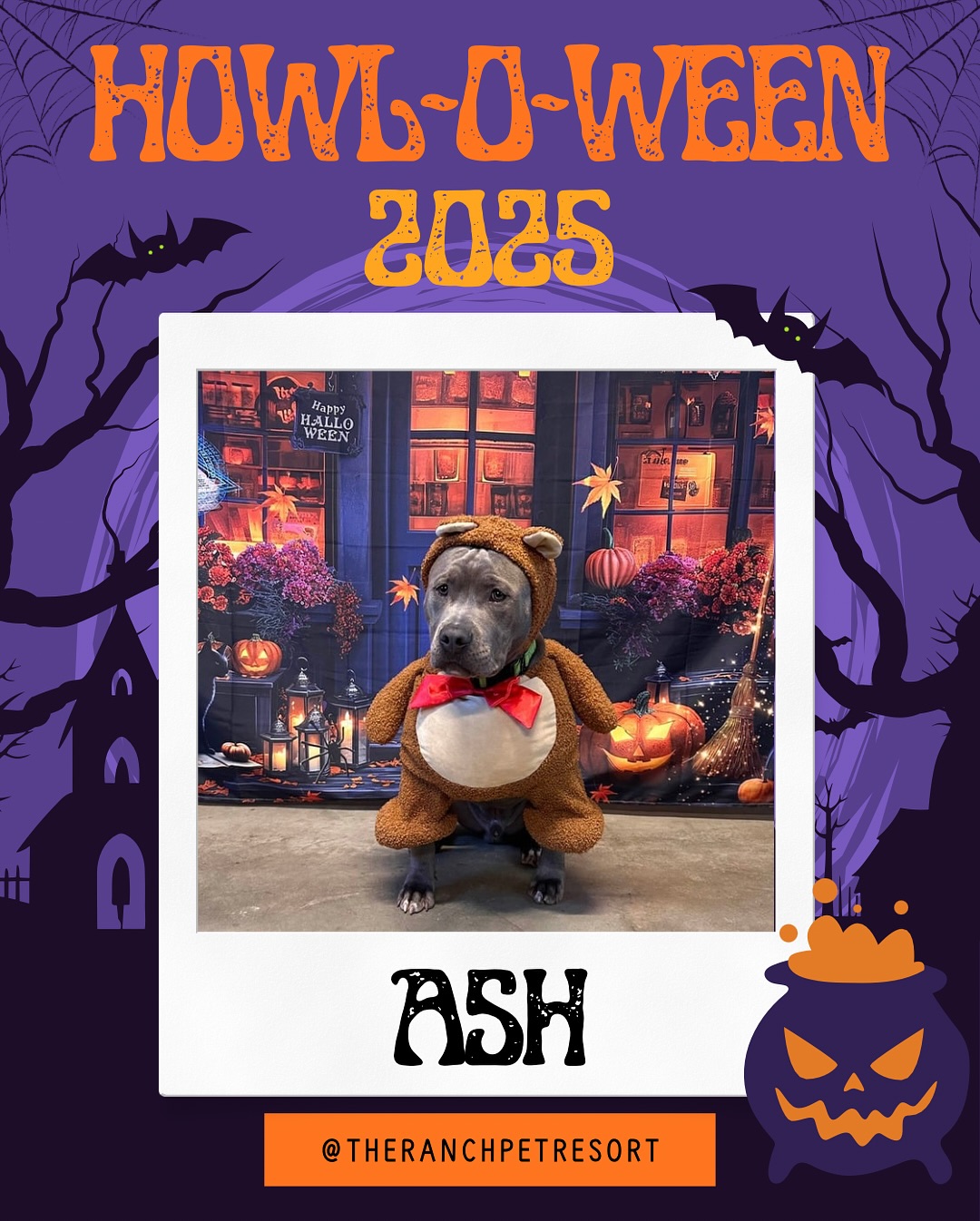 Howl-o-Ween 2025 - The Ranch Pet Resort